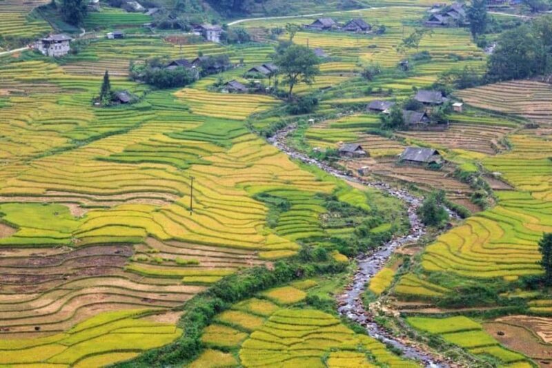 From Hanoi: 2-Days Sapa Trekking Tour Lao Chai and Cat Cat - An In-Depth Look at the Sapa Experience