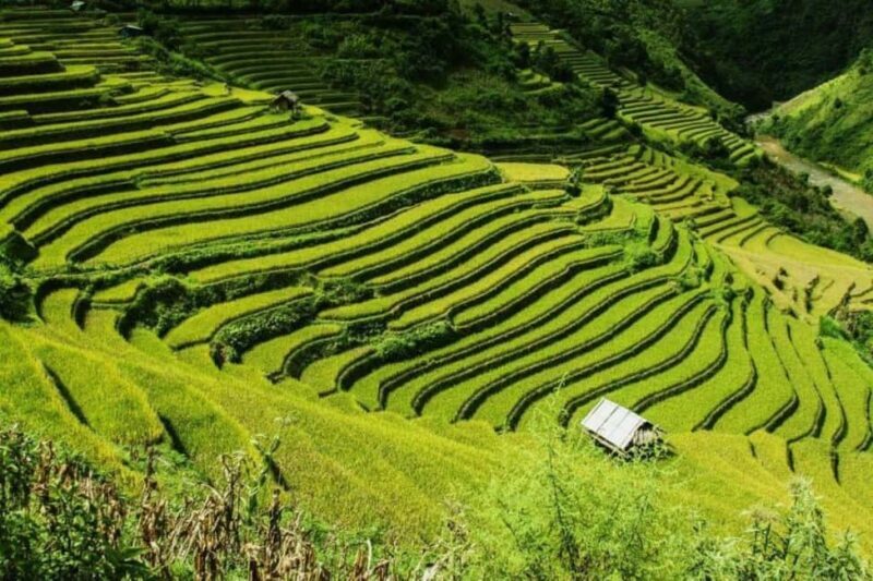 From Hanoi: 2-Days Sapa Trekking Tour Lao Chai and Cat Cat - Who Should Consider This Tour?