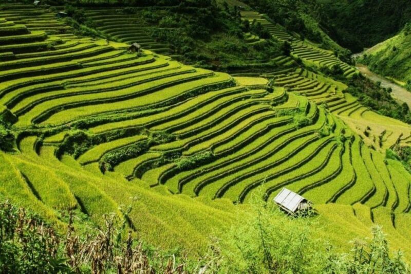 From Hanoi: 2-Days Sapa Trekking Tour Lao Chai and Cat Cat - The Overall Value