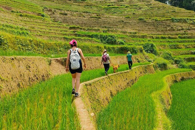 From Hanoi: 2D1N Mu Cang Chai Private Trekking & Homestay - An Overview of the Tour