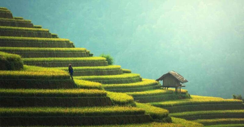 From Hanoi: 2D1N Sapa Trekking by VIP Sleeper Bus - An Overview of the Itinerary: What to Expect