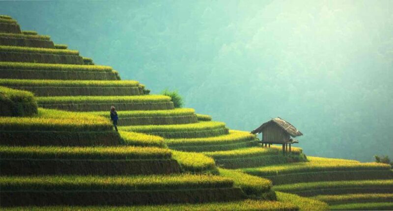 From Hanoi: 2D1N Sapa Trekking by VIP Sleeper Bus - Accommodation & Meals: A Taste of Sapa