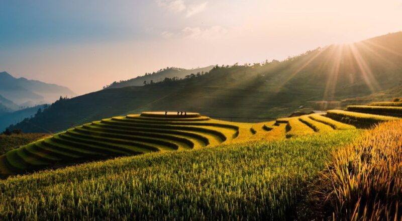 From Hanoi: 2D1N Sapa Trekking by VIP Sleeper Bus - The Cultural Experience: Authentic Encounters