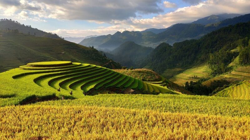 From Hanoi: 2D1N Sapa Trekking by VIP Sleeper Bus - Value for Money: Is It Worth It?