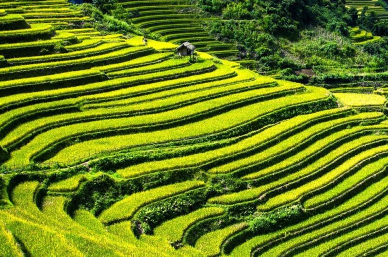 From Hanoi: 2D1N Sapa Trekking by VIP Sleeper Bus - FAQ