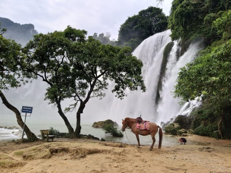From Hanoi: 3-Day Ban Gioc Waterfall Tour - Small Group - FAQ