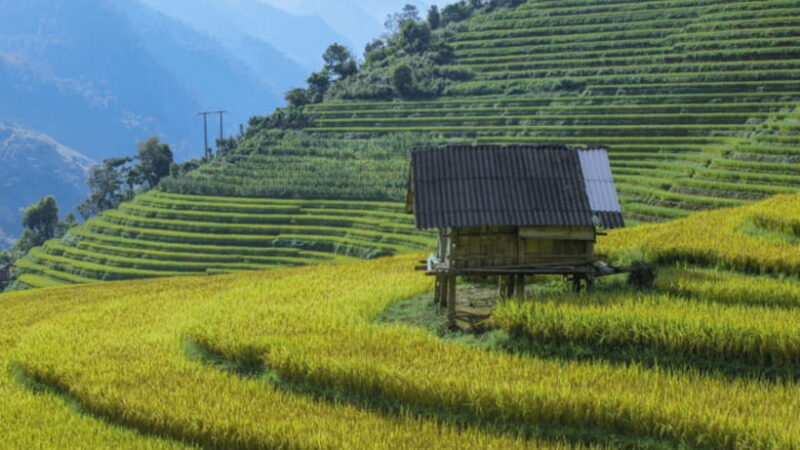 From Hanoi: 3-Day Sapa - Bac Ha Market Trekking Tour - An In-Depth Look at the Tour