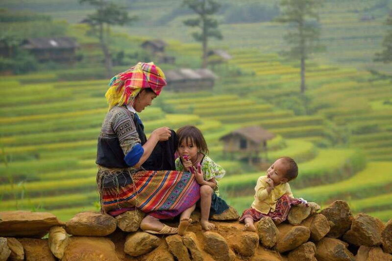 From Hanoi: 3-Day Sapa, Fansipan, Ninh Binh Tour with Meals - Key Points