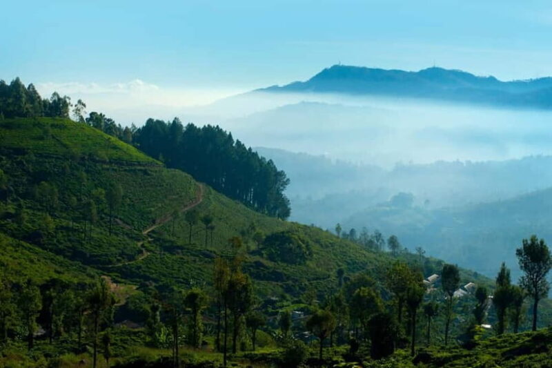 From Hanoi: 4-Day Moc Chau Tea Plantation and Waterfall Tour - FAQ