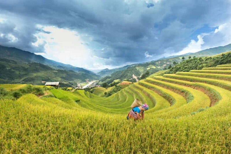 From Hanoi: 4-Day Mu Cang Chai Terraced Rice Fields Tour - Key Points