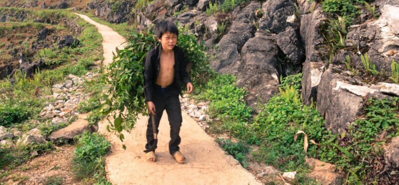 From Hanoi: 4-Day Panorama Of Ha Giang Loop Private Tour - Food and Cultural Interactions