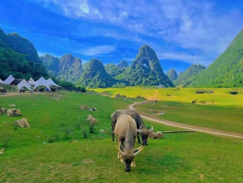 From Hanoi: Ban Gioc Waterfall 2 Day 1 Night - Small Group - FAQ