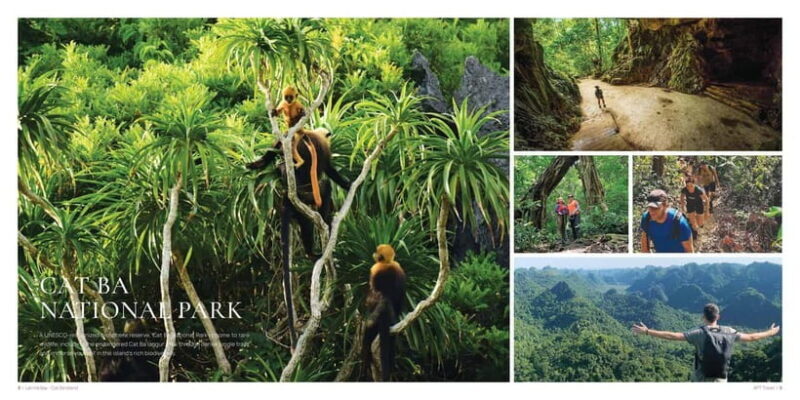 From Hanoi: Cat Ba Island 2-Day Tour with Trekking - An In-Depth Look at the Itinerary