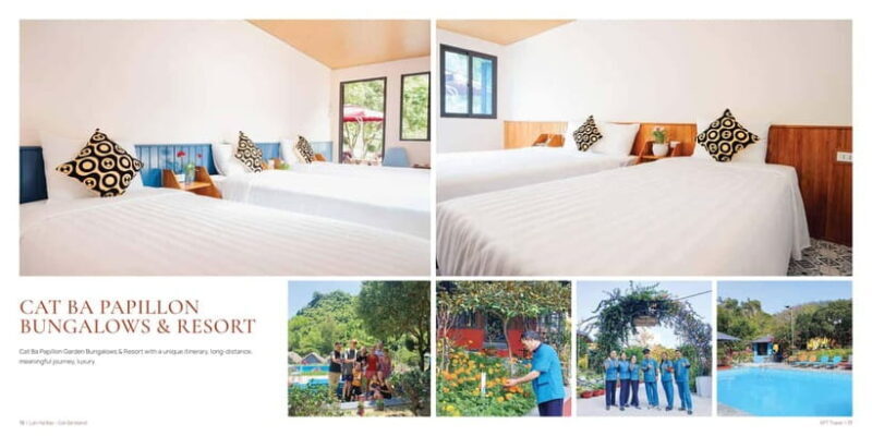 From Hanoi: Cat Ba Island 2-Day Tour with Trekking - What Travelers Should Know