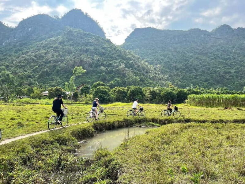 From Hanoi/Cat Ba: Lan Ha Bay Day Trip with Cruise and Lunch - Key Points