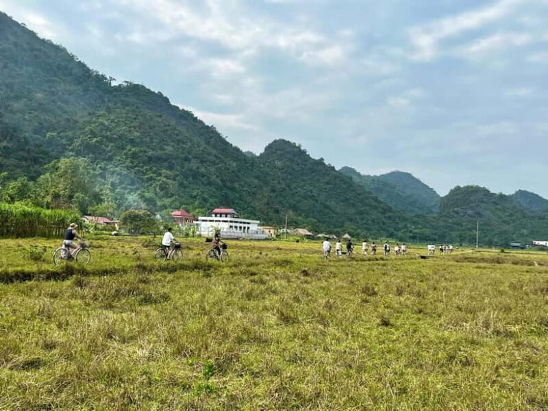 From Hanoi/Cat Ba: Lan Ha Bay Day Trip with Cruise and Lunch - A detailed look at what the tour offers