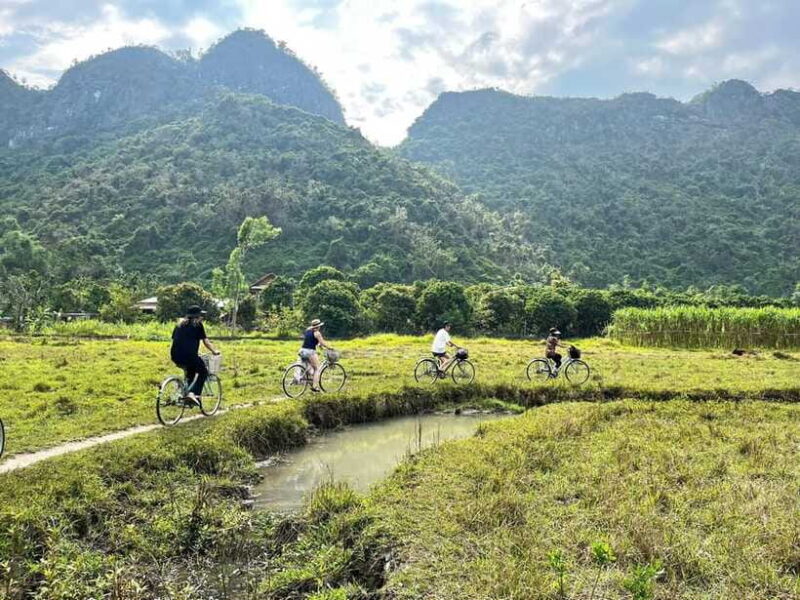 From Hanoi/Cat Ba: Lan Ha Bay Day Trip with Cruise and Lunch - Who Would Enjoy This Tour?