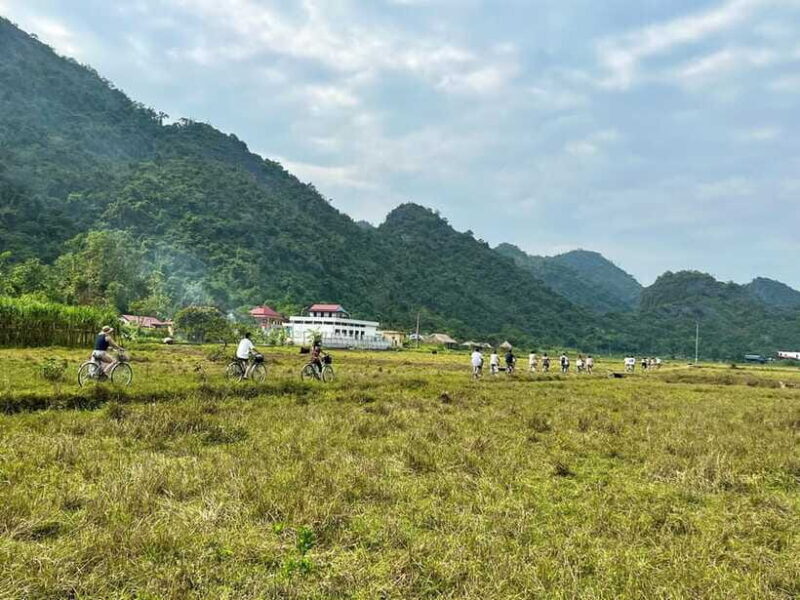 From Hanoi/Cat Ba: Lan Ha Bay Day Trip with Cruise and Lunch - Final Thoughts