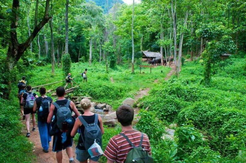From Hanoi: Cat Ba National Park and Lan Ha Bay 2-Day Tour - Key Points