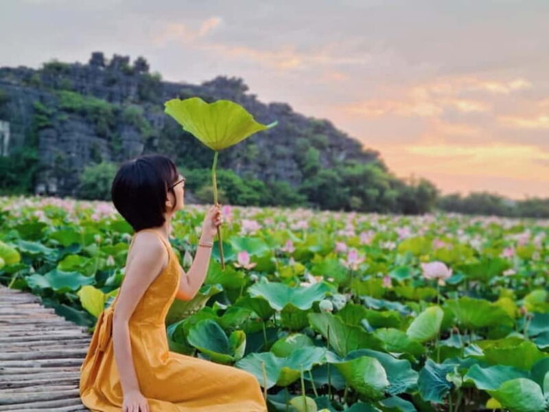 From Hanoi: Day Trip to Ninh Bình  The Colors of Nature - Key Points