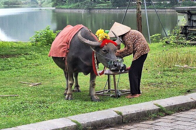From Hanoi: Deluxe Day Trip to Hoa Lu Ancient Capital, Tam Coc - The Sum Up