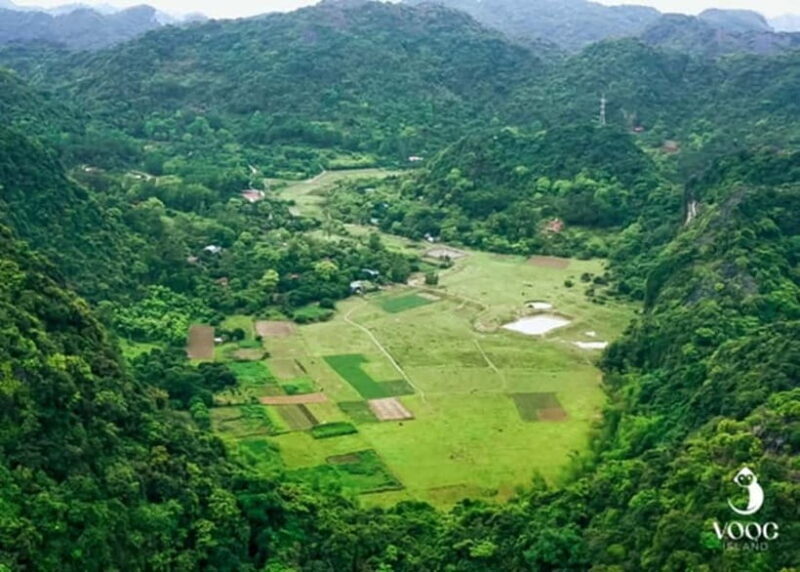 From Hanoi: Discover Cat Ba - Green Island - Key Points