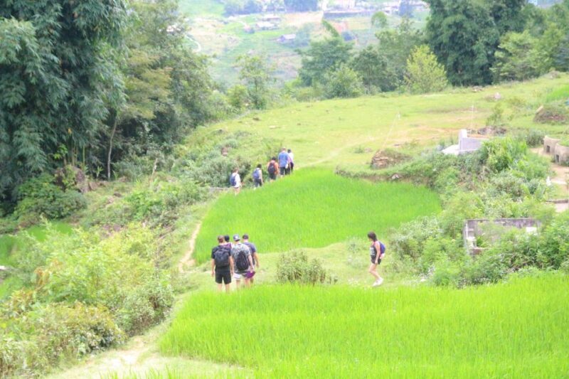 From Hanoi: Discover Sapa 2-Day 1-Night Trekking Adventure - Key Points