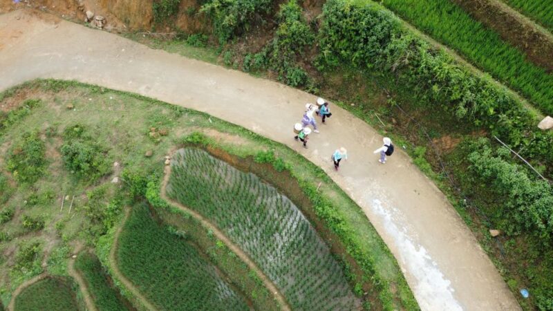 From Hanoi: Discover Sapa 2-Day 1-Night Trekking Adventure - The Sum Up: Worthwhile for the Authentic and Curious