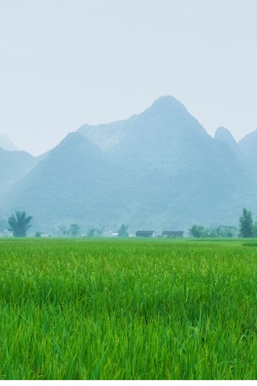 From Hanoi: Easy Rider 2 Day Motorbike Tour of Cao Bang Loop - Practical Tips for Your Trip