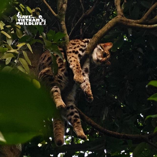 From Hanoi Explore Fresh Nature, See Wild Animal & Fireflies - The Sum Up: The Value of this Wild Nature Day Trip