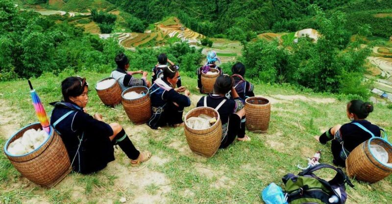 From Hanoi: Explore Sapa 2-Day Tour - Introduction: What to Expect from This Sapa Tour