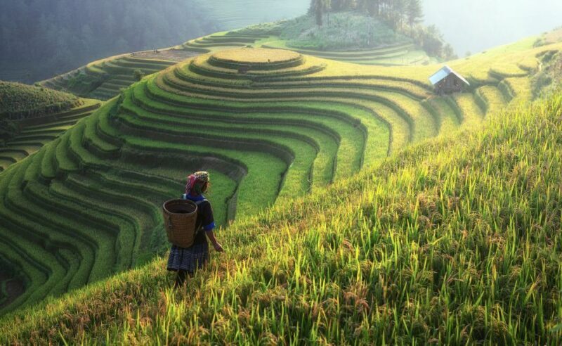 From Hanoi: Explore Sapa 2-Day Tour - What’s Worth Knowing