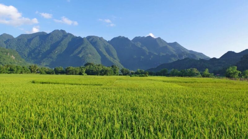 From Hanoi: Explore Sapa & Fansipan For 2 Days 1 Nights - The Sum Up