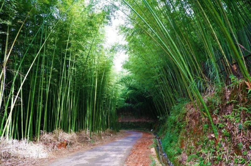 From Hanoi: Explore Sapa & Local Village 3 Days - Authenticity and Cultural Connection