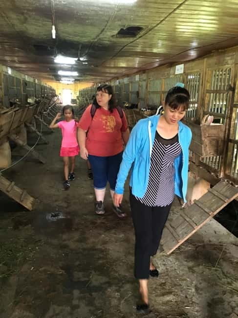 From Hanoi: Full-Day Authentic Vietnam Farming Tour - An Introduction to the Tour Experience