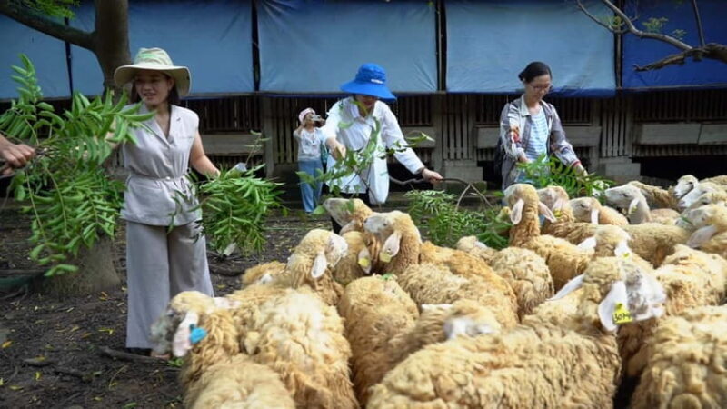 From Hanoi: Full-Day Authentic Vietnam Farming Tour - Transport and Group Size