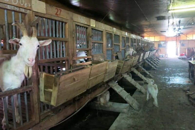 From Hanoi: Full-Day Authentic Vietnam Farming Tour - Who Would Enjoy This Tour?