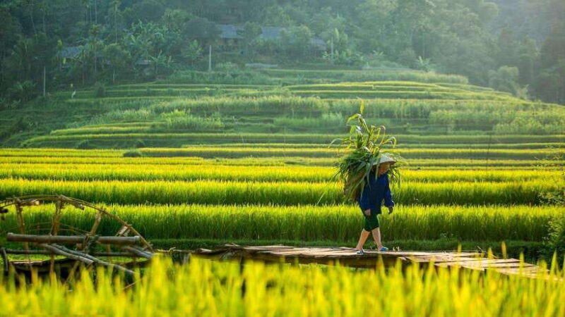 From Hanoi: Full-Day Hiking Tour of Pu Luong (Monday Only) - Practical Details and What You Should Know