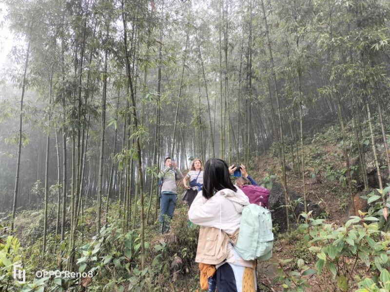 From Hanoi: Guided 2-Day Tour of Sa Pa with Lunch & Dinner - The Value of the Tour: Price, Accessibility, and Comfort