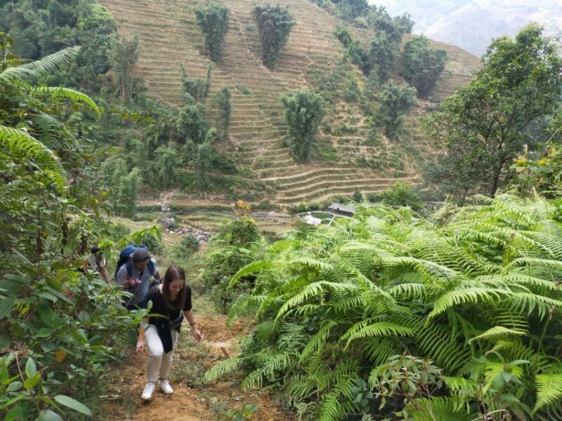 From Hanoi: Guided 2-Day Tour of Sa Pa with Lunch & Dinner - Authentic Experiences and Guest Reviews