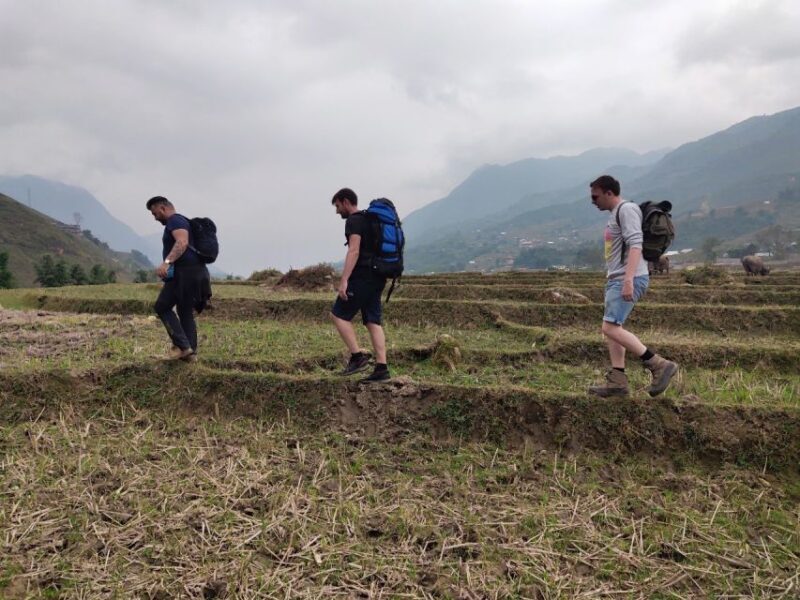 From Hanoi: Guided 2-Day Tour of Sa Pa with Lunch & Dinner - The Sum Up