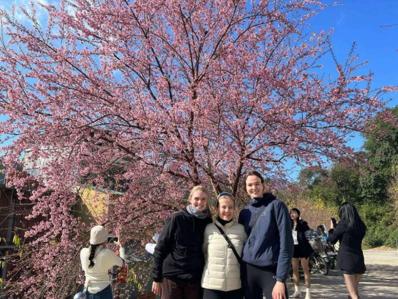 From Hanoi: Ha Giang Loop 3-Day 2-Night Tour with Easy Rider - Who Is This Tour Best For?