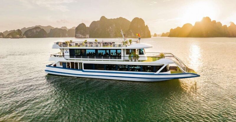 From Hanoi: Ha Long Bay 5-star Day Cruise with Buffet Lunch - Who This Tour Is Best For