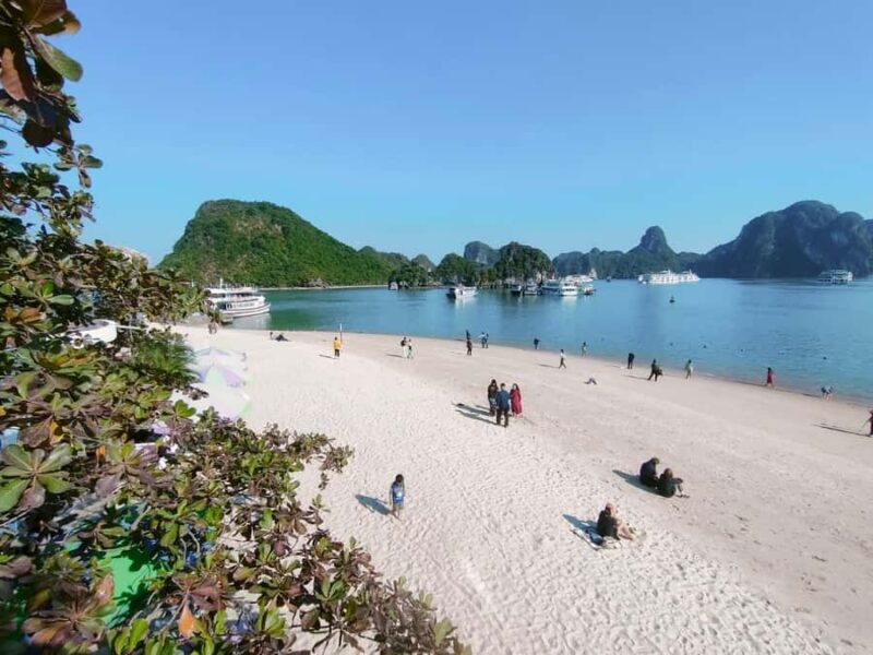 From Hanoi: Ha Long Bay Luxury Day Cruise with Food & Kayak - The Sum Up