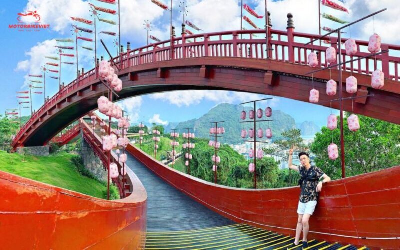 From Hanoi: Halong Bay 1 day tour on a luxury cruise - An In-Depth Look at the Tour