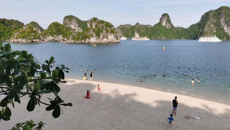 From Hanoi: Halong Wonder bay cruise 01-day - FAQs