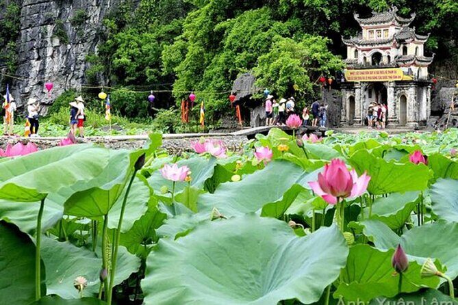From Hanoi: Hoa Lu, Tam Coc, and Mua Cave Scenic Day Trip - An Overview of the Day: What to Expect