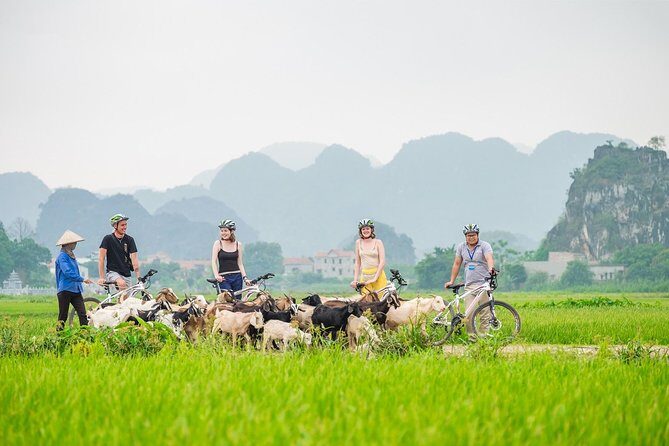 From Hanoi: Hoa Lu - Tam Coc boating - Cycling & Mua Cave visit - Key Points
