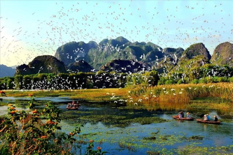 From Hanoi: Hoa Lu & Van Long Nature Reserve Day Tour - A Detailed Look at the Experience