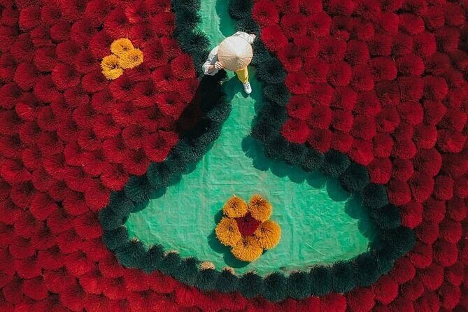 From Hanoi: Incense Village, Tam Coc Boat Trip, Hoa Lu Capital - Key Points